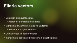 PPT on national filaria control programe.pptx