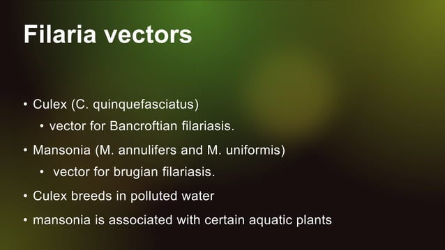 PPT on national filaria control programe.pptx