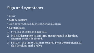national Filaria control programme .pptx