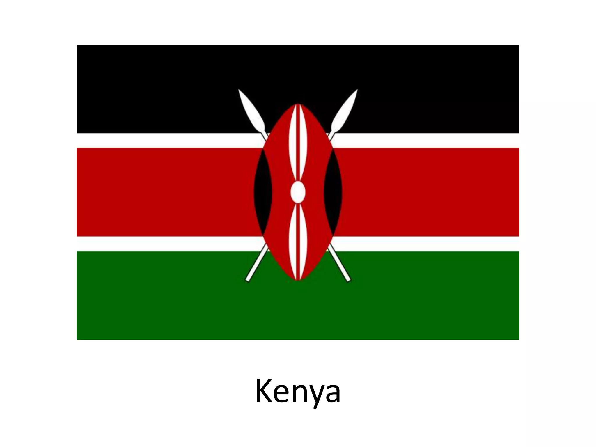 100 World Flags ppt | PPTX