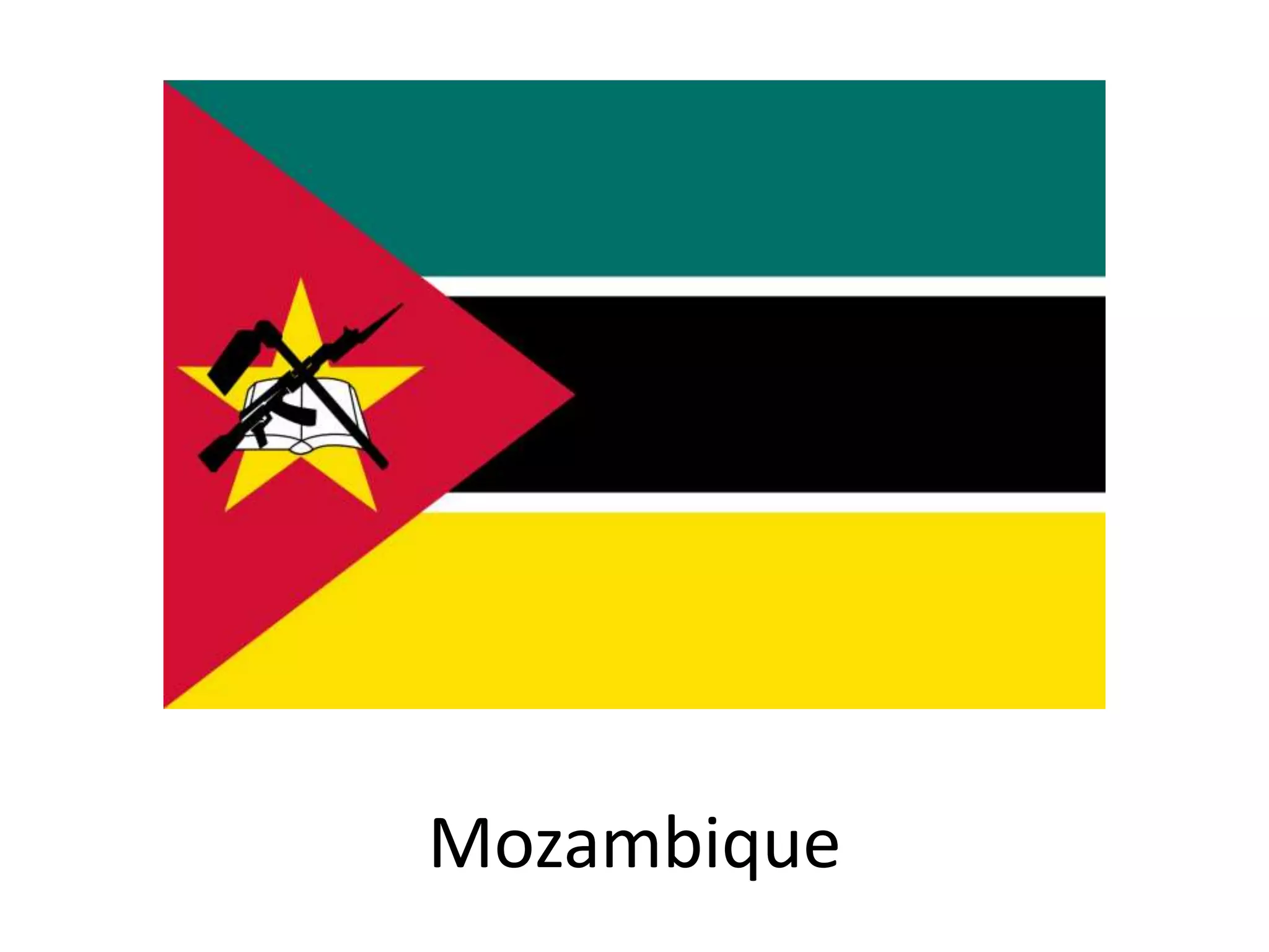 100 World Flags ppt | PPTX