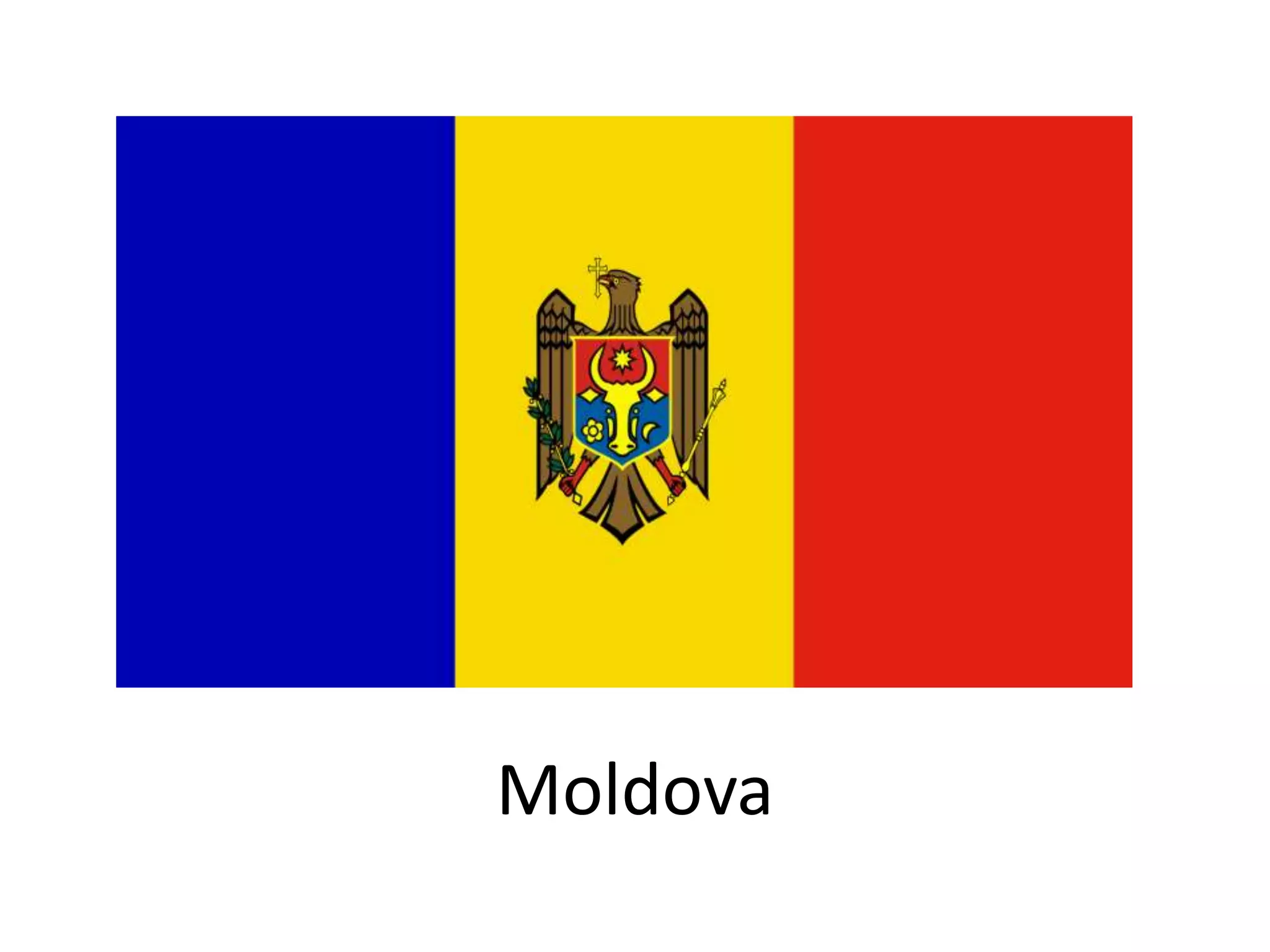 100 World Flags ppt | PPTX