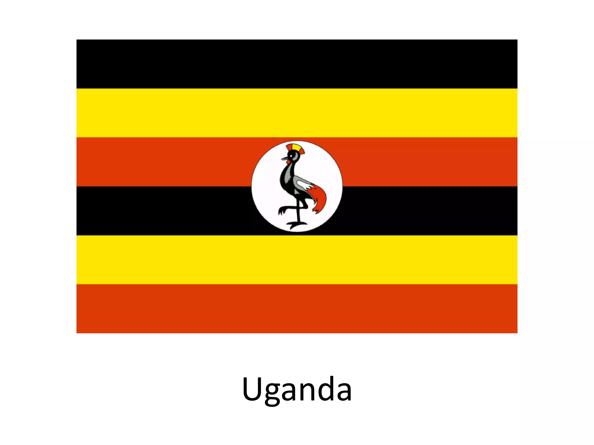 100 World Flags ppt | PPTX