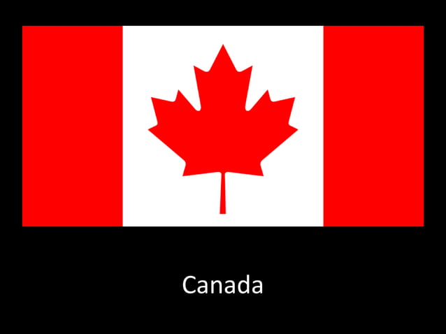 100 World Flags ppt | PPTX