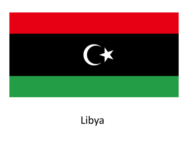 100 World Flags ppt | PPTX