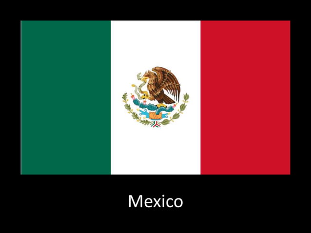 100 World Flags ppt | PPTX