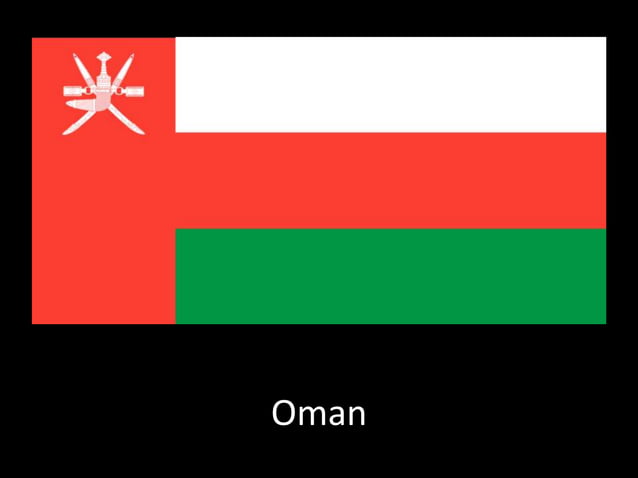 100 World Flags ppt | PPTX