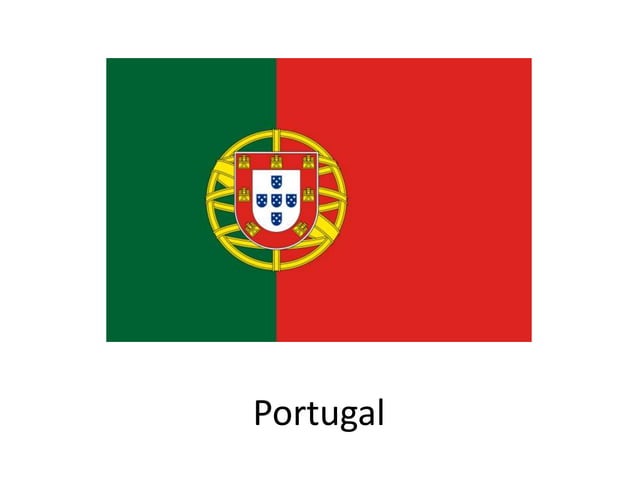 100 World Flags ppt | PPTX