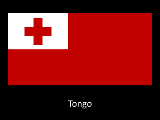 100 World Flags ppt | PPTX