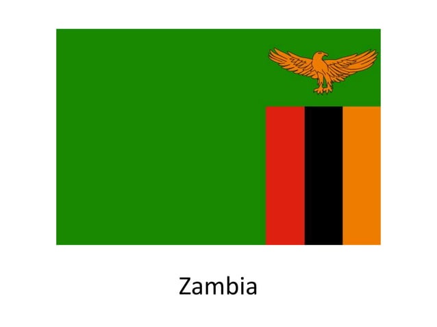 100 World Flags ppt | PPTX