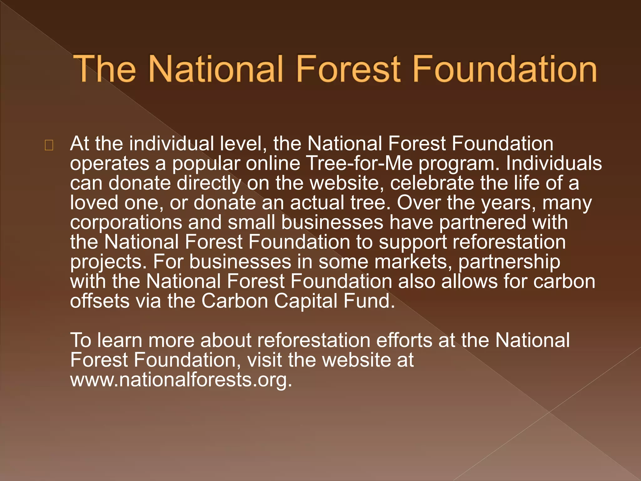 National Forest Foundation's Tree Planting Efforts | PPTX