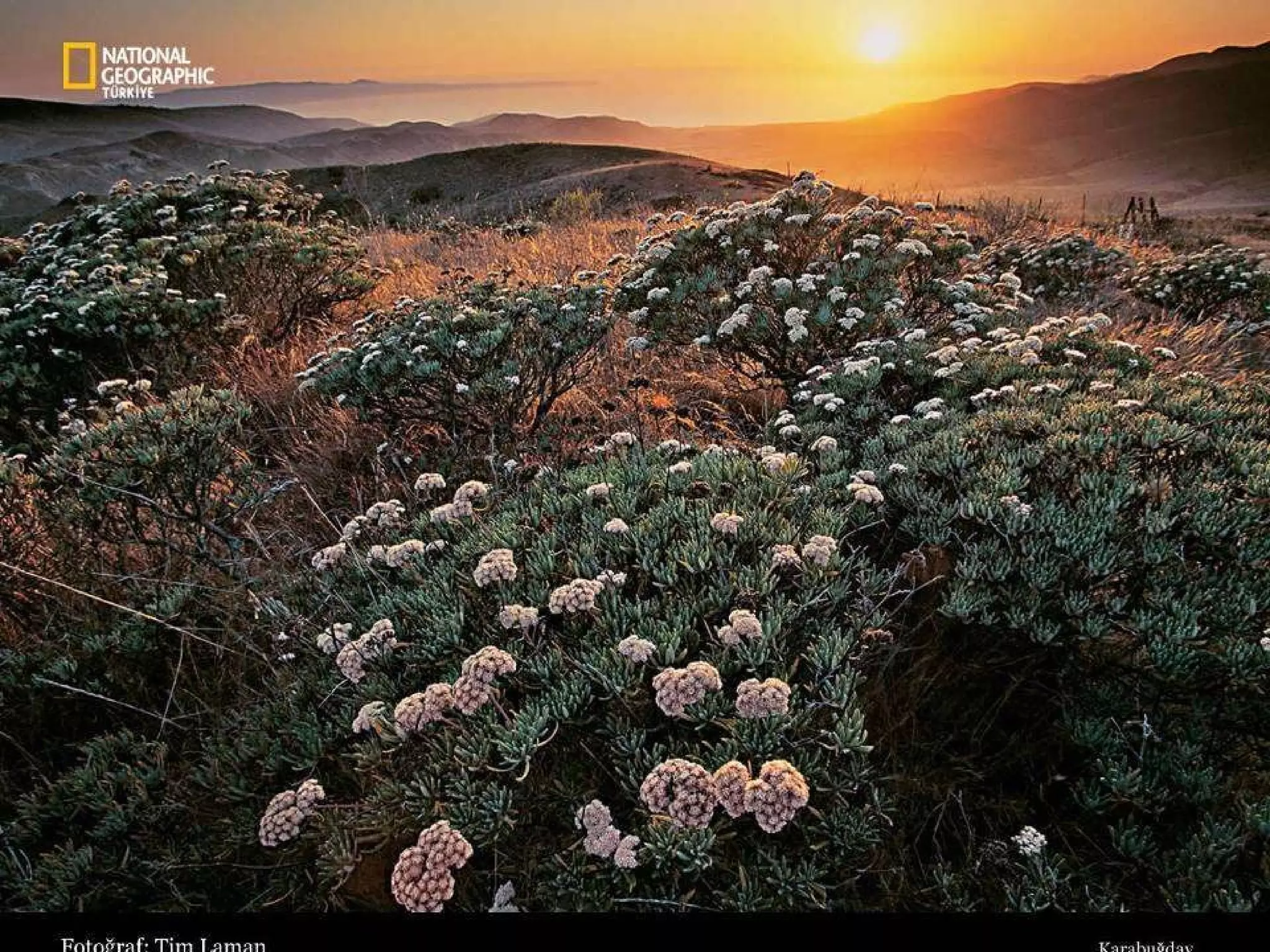 National geographic | PPT