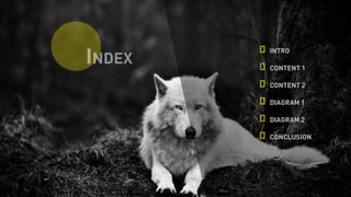 PPT template with big picture (Nationalgeographic) | PPTX