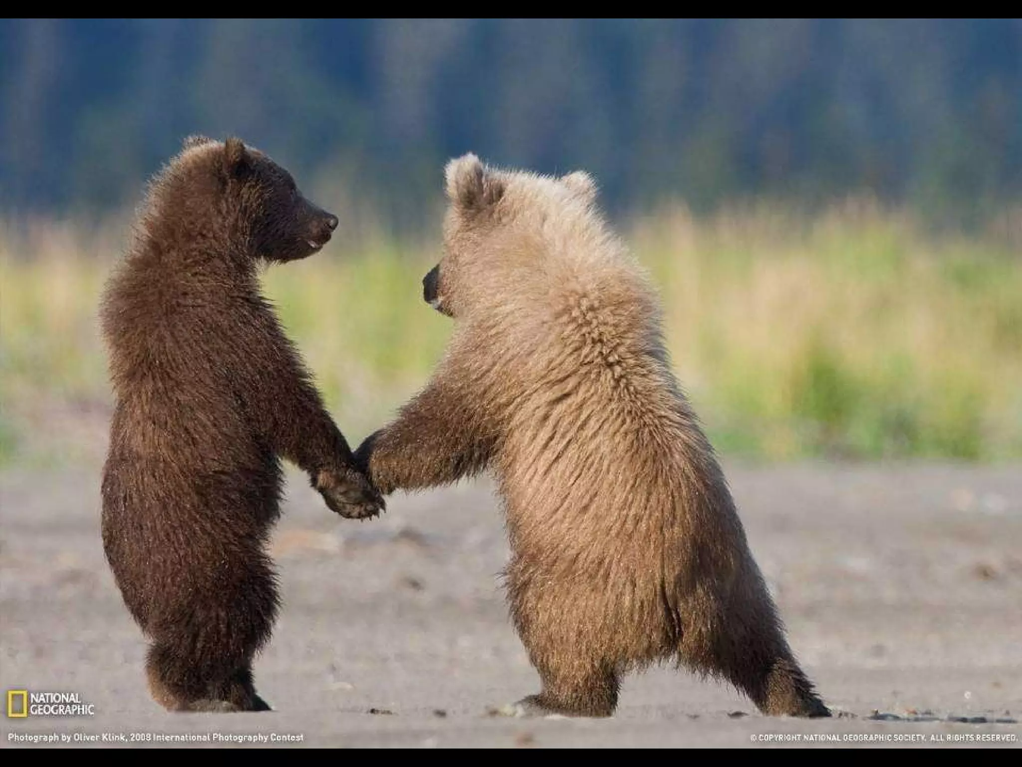 National Geographic | PPS