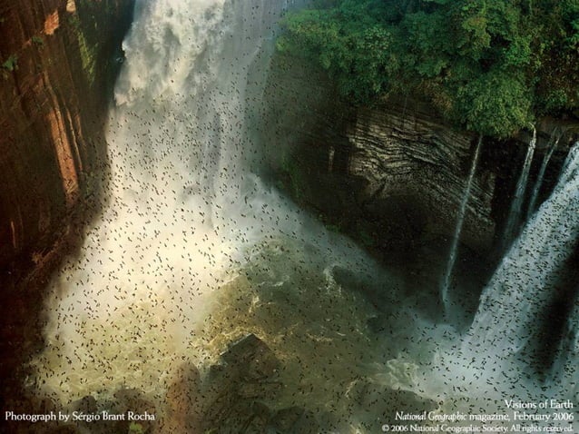 National Geographics Photos 2006 | PPT