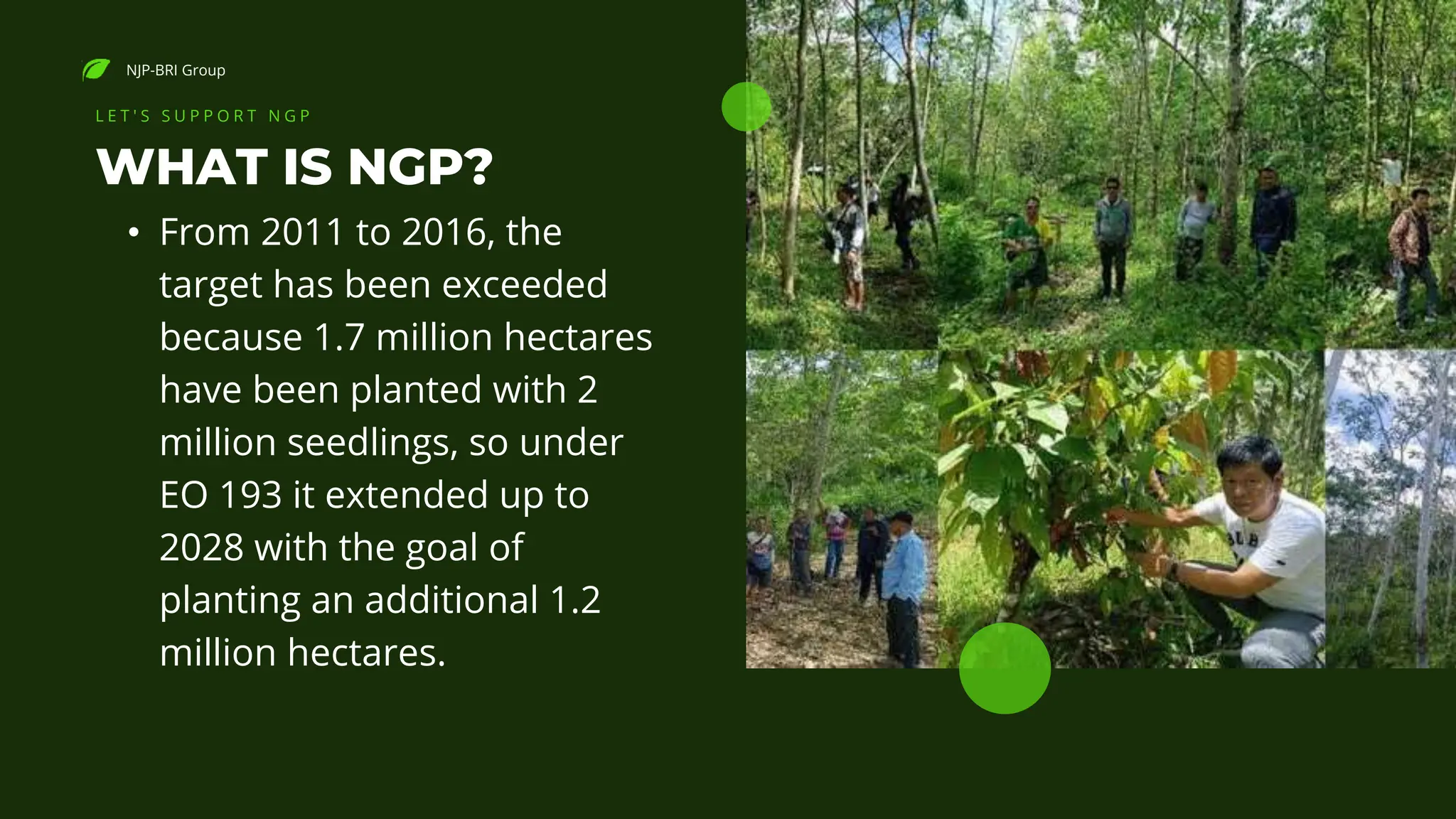 National Greening Program for Forest Extension.pptx