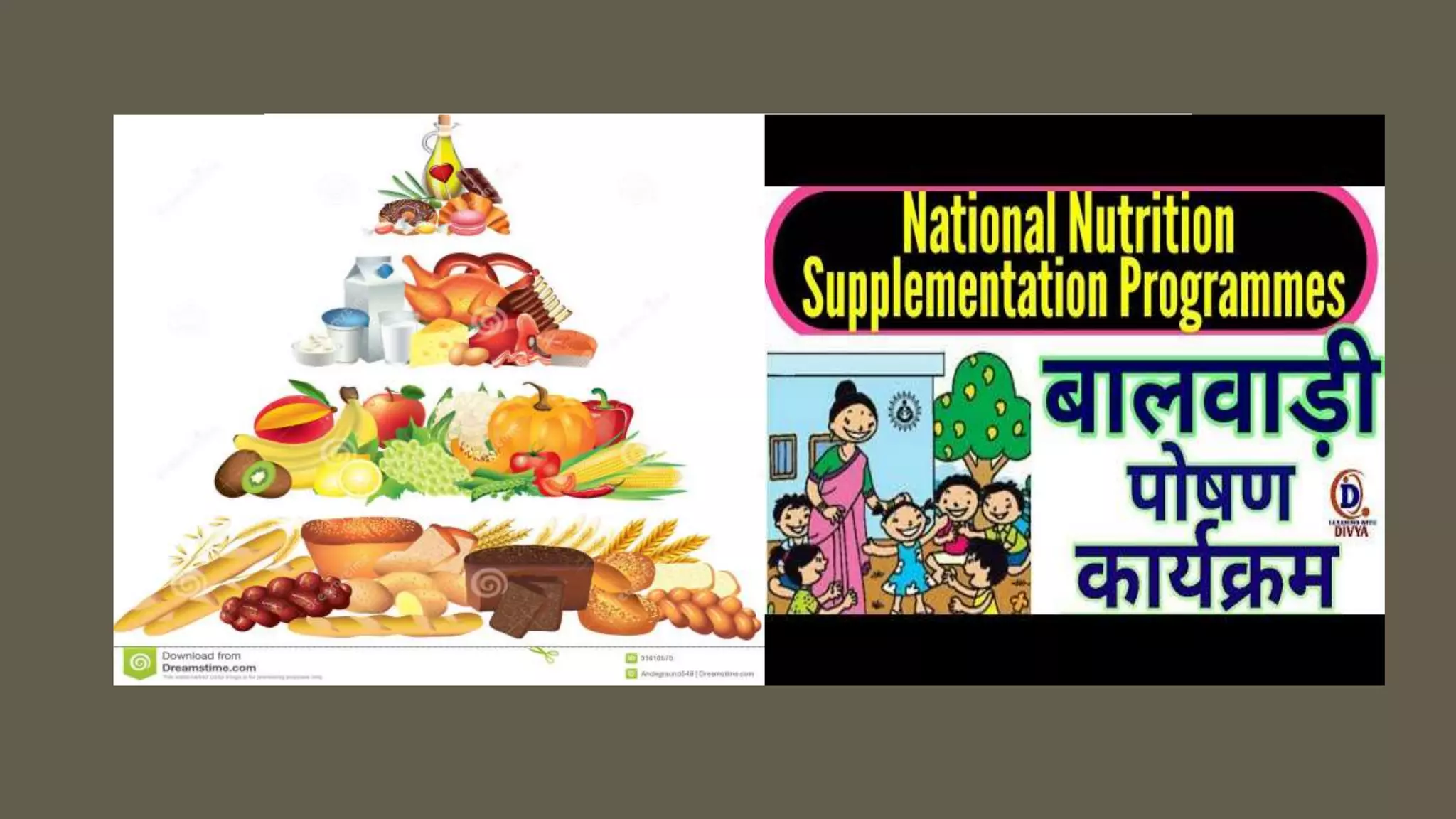 National health programme CHN | PPTX