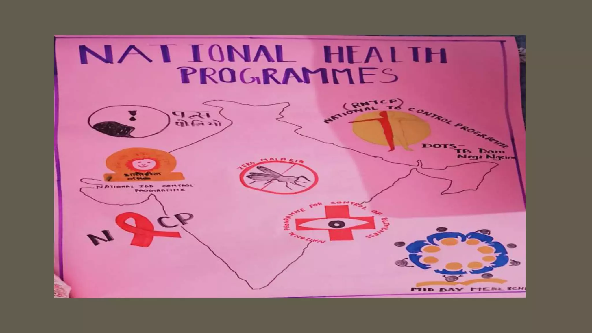 National health programme CHN | PPTX