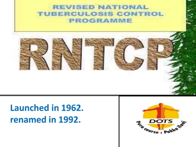 National health programmes | PPT