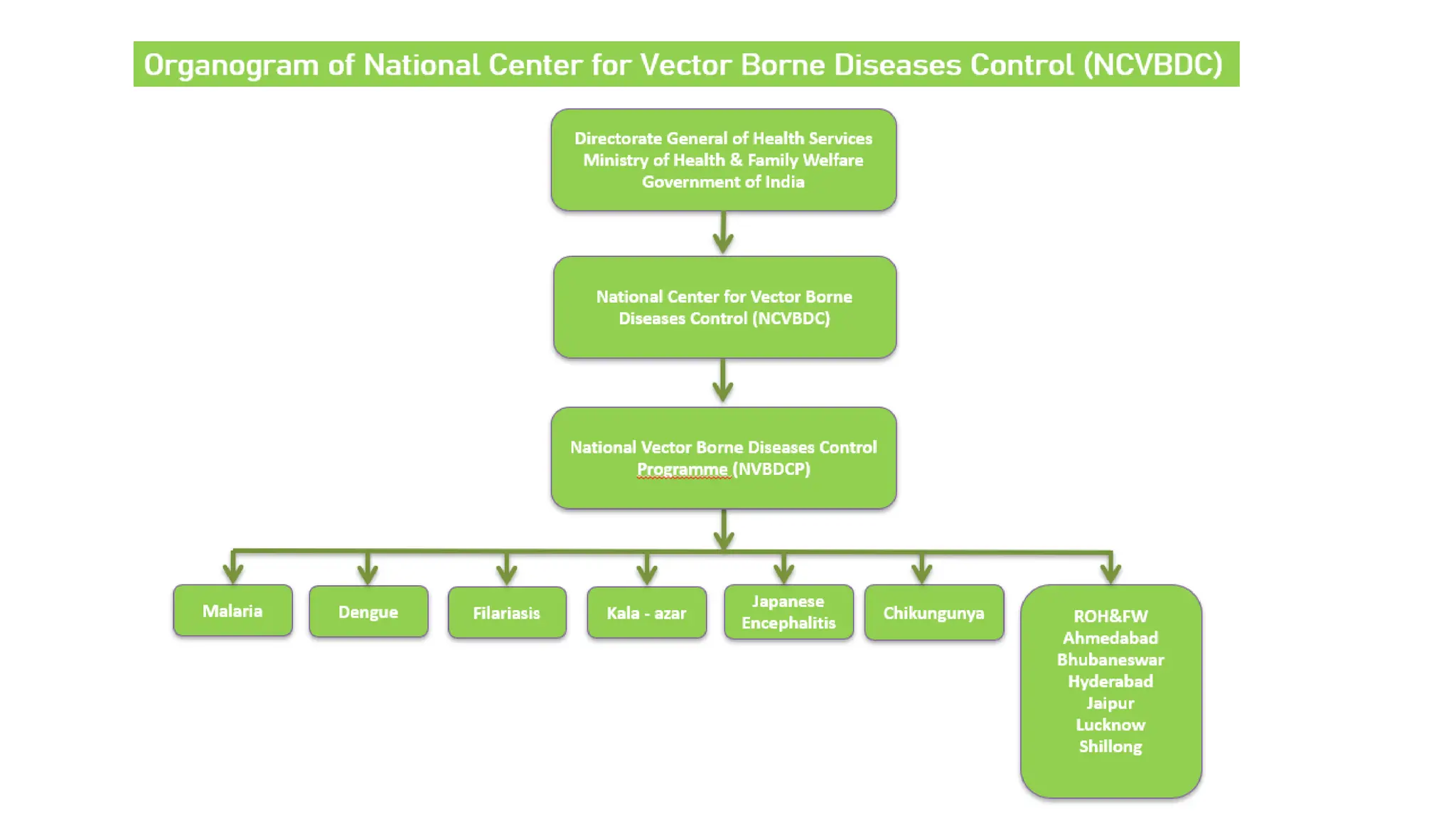 National health programmes in india.pptx