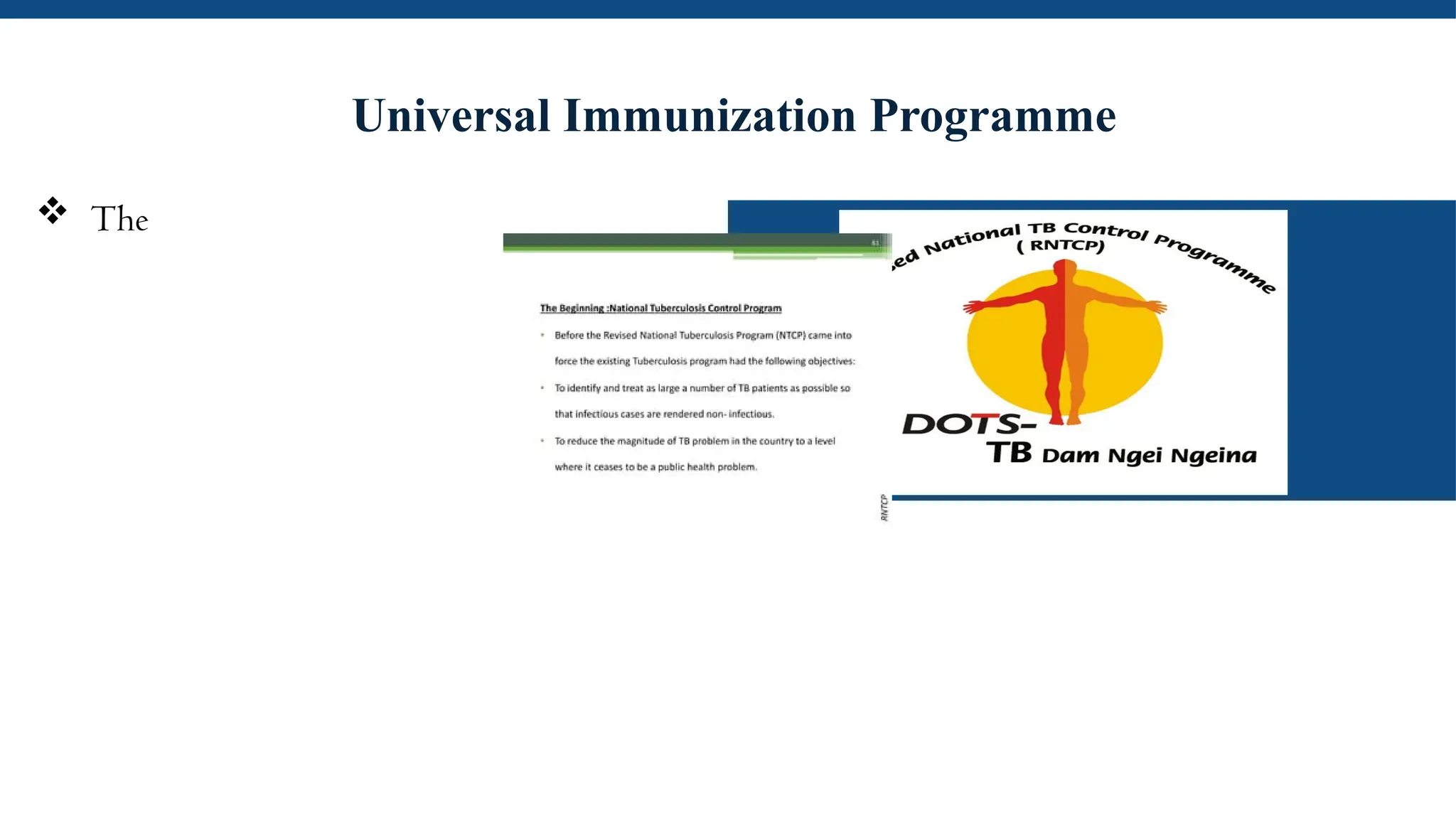 National health programmes in india.pptx