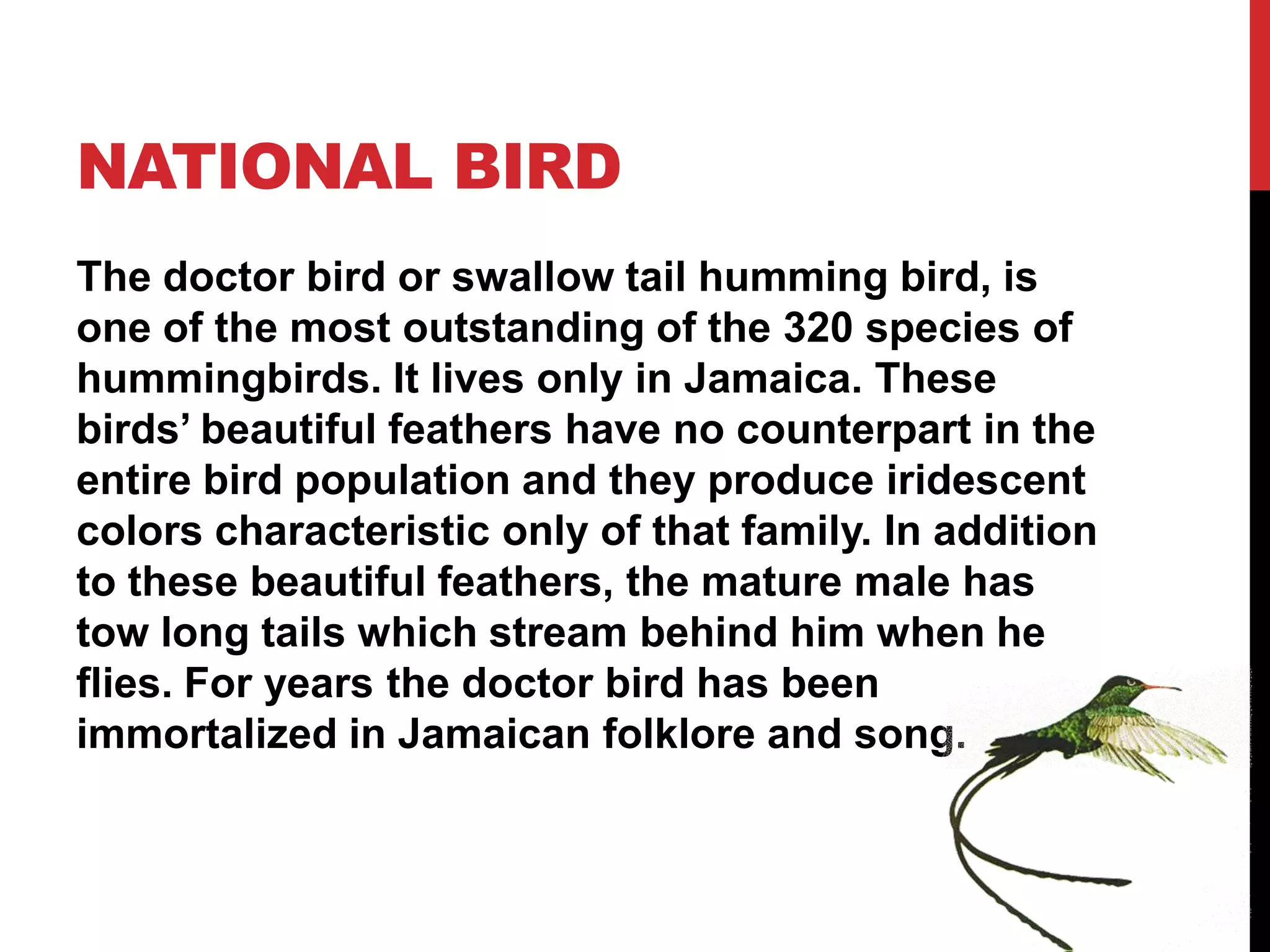 National Symbols and Heroes of Jamaica | PPTX