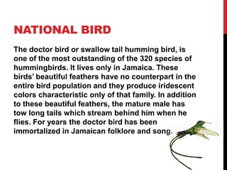 National Symbols and Heroes of Jamaica | PPTX