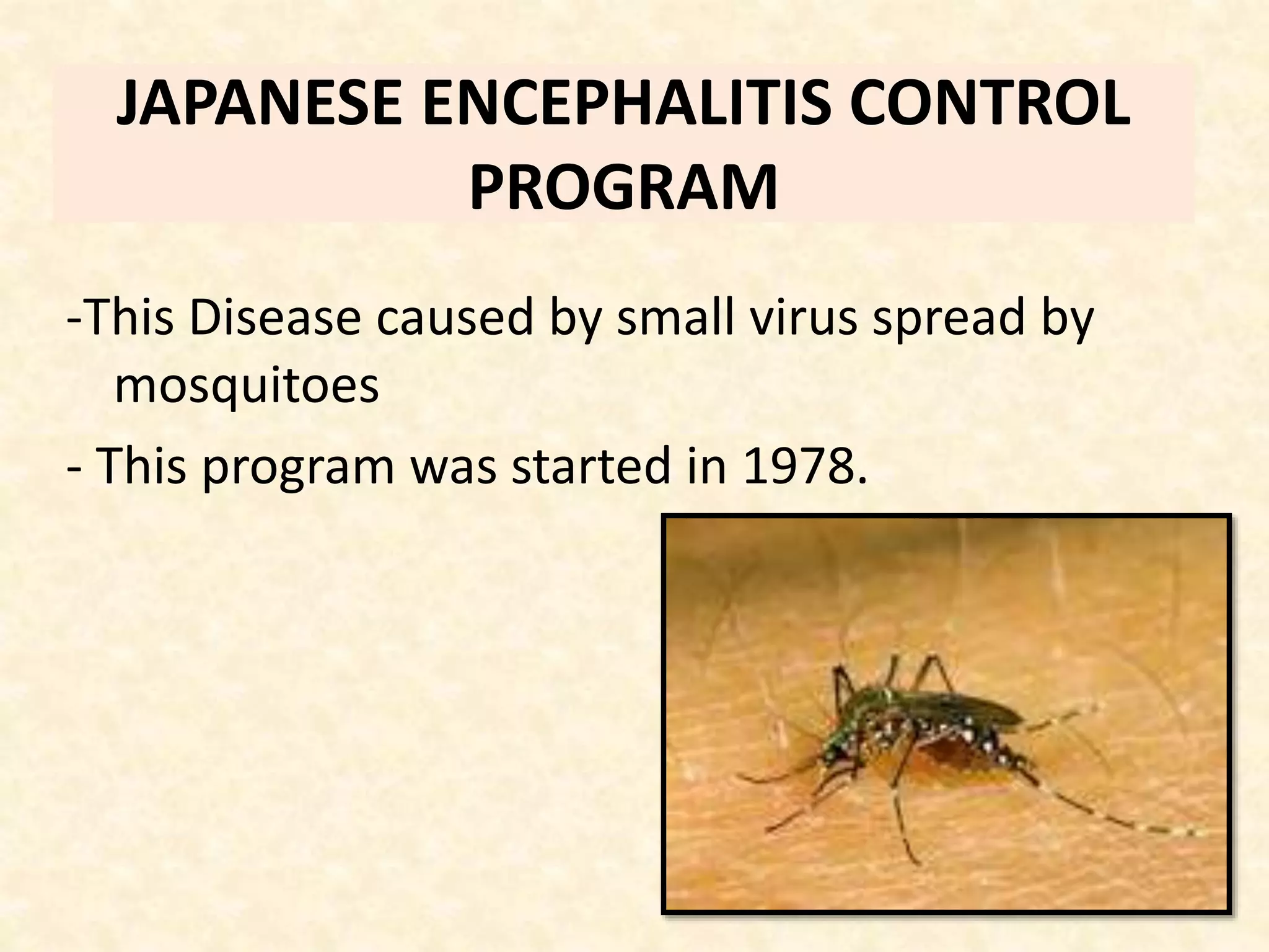 National Health Programs | PPTX