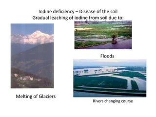 nationaliodinedeficiencydisordercontrolprogramme 01.pdf