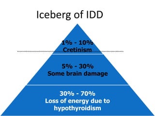 nationaliodinedeficiencydisordercontrolprogramme 01.pdf
