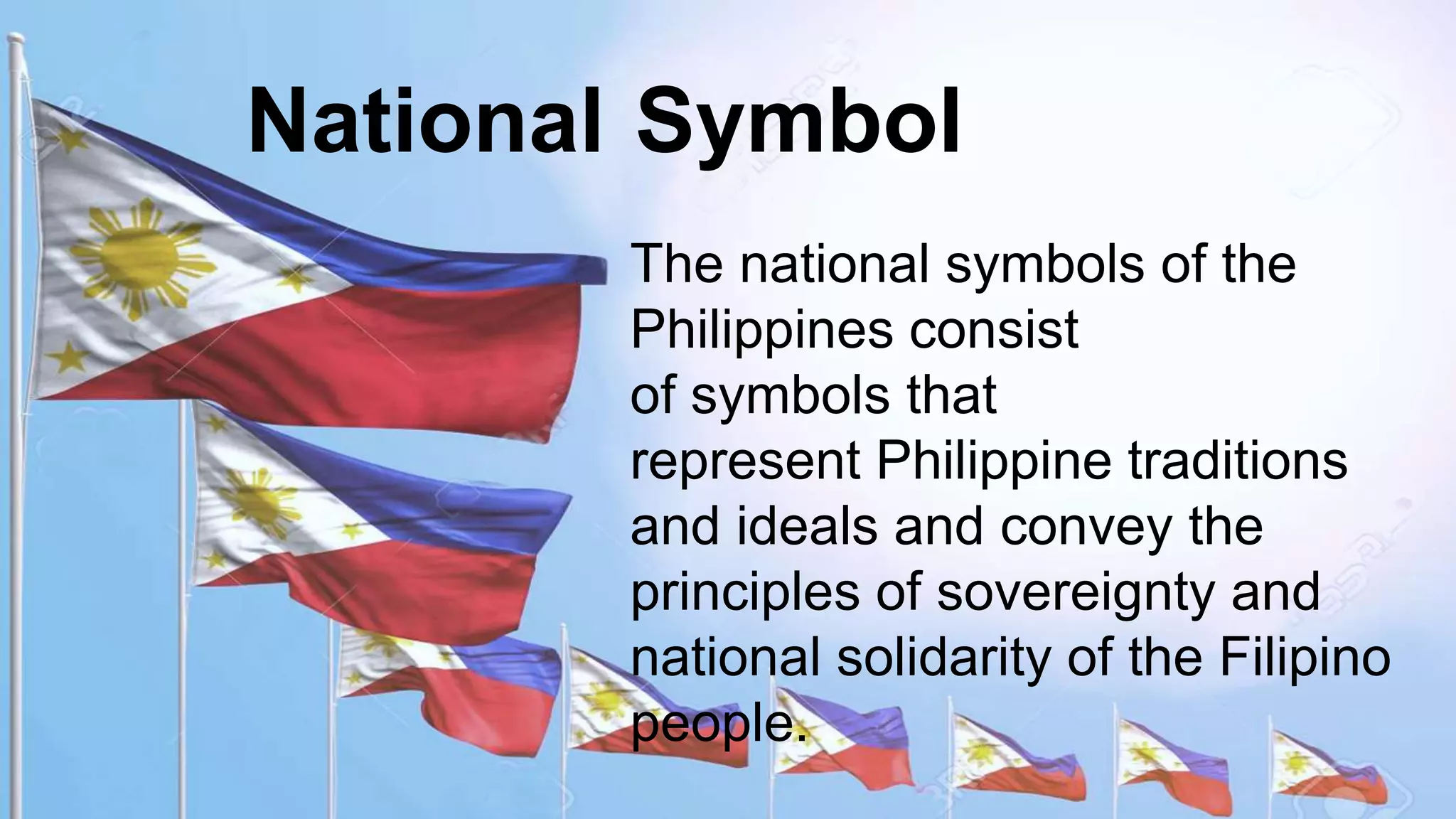 Nationalism and Patriotism | PPTX