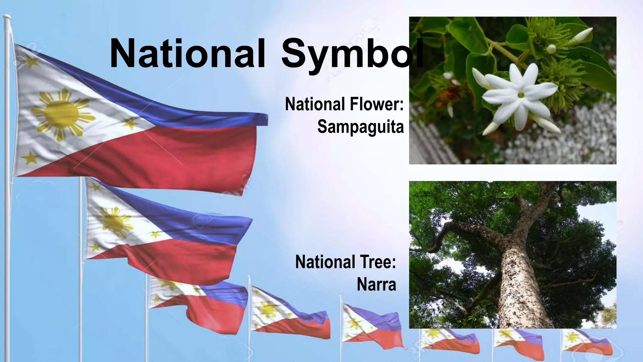 Nationalism and Patriotism | PPTX