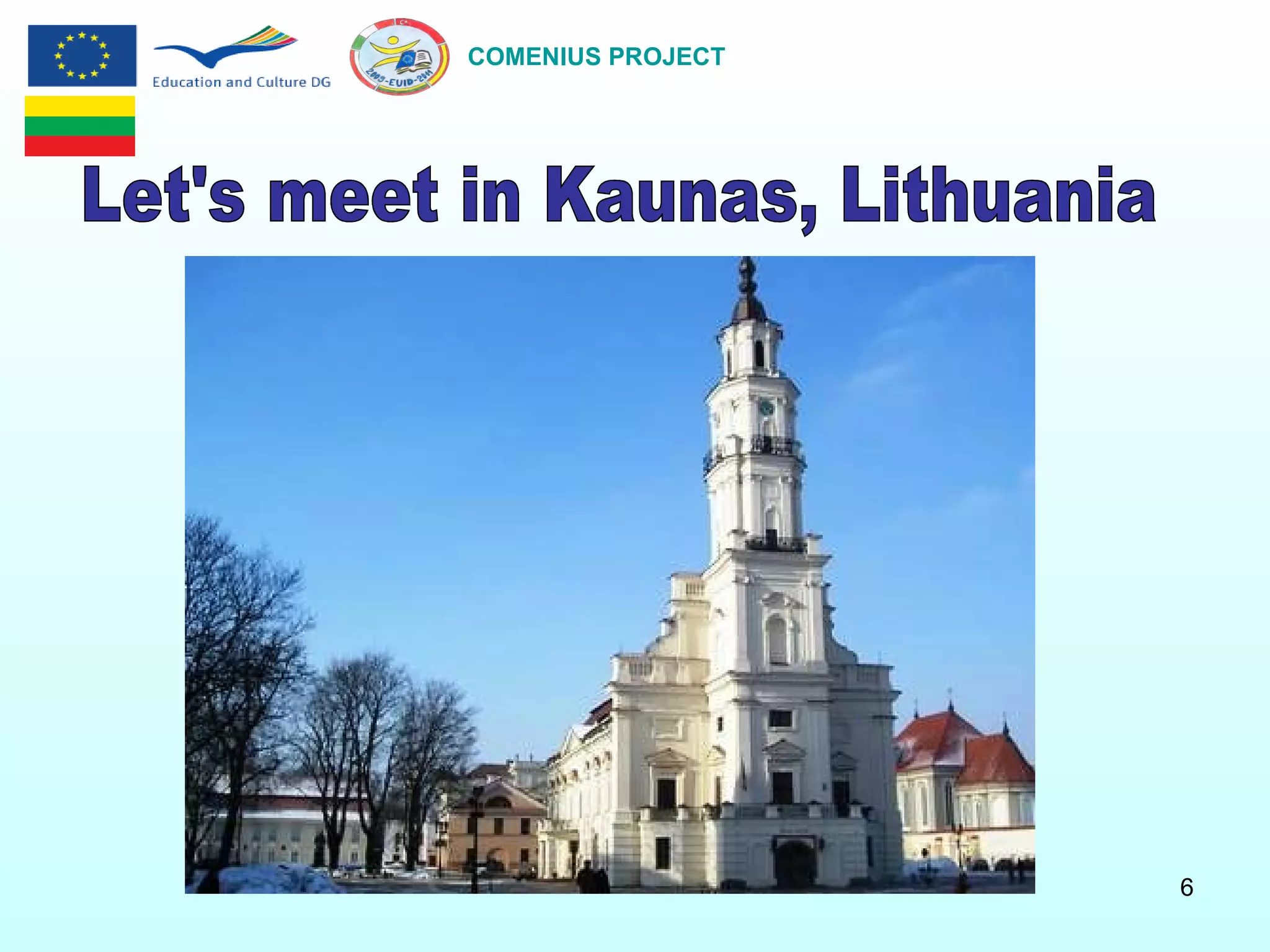 National lithuanian musical instrument | PPT