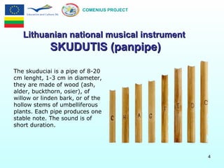 National lithuanian musical instrument | PPT