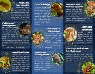 National Living Treasures of the Philippines | PDF | Reptiles | Pets