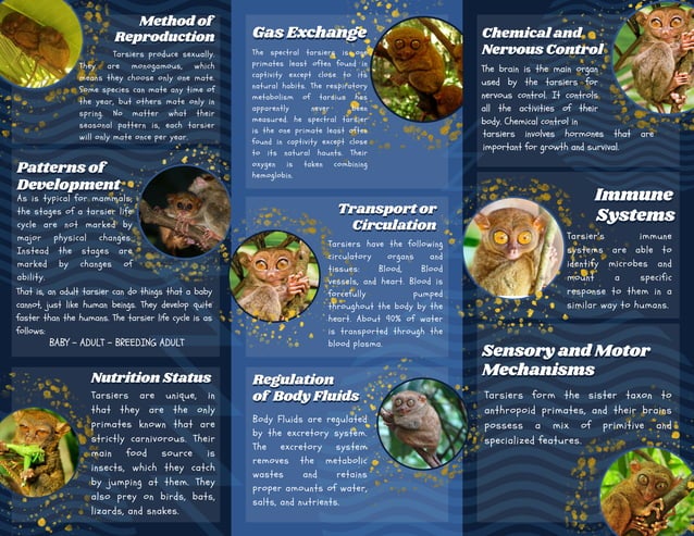 National Living Treasures Of The Philippines Pdf Reptiles Pets