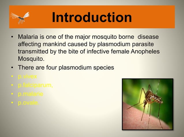 National malaria control programe | PPTX | Infectious Diseases ...