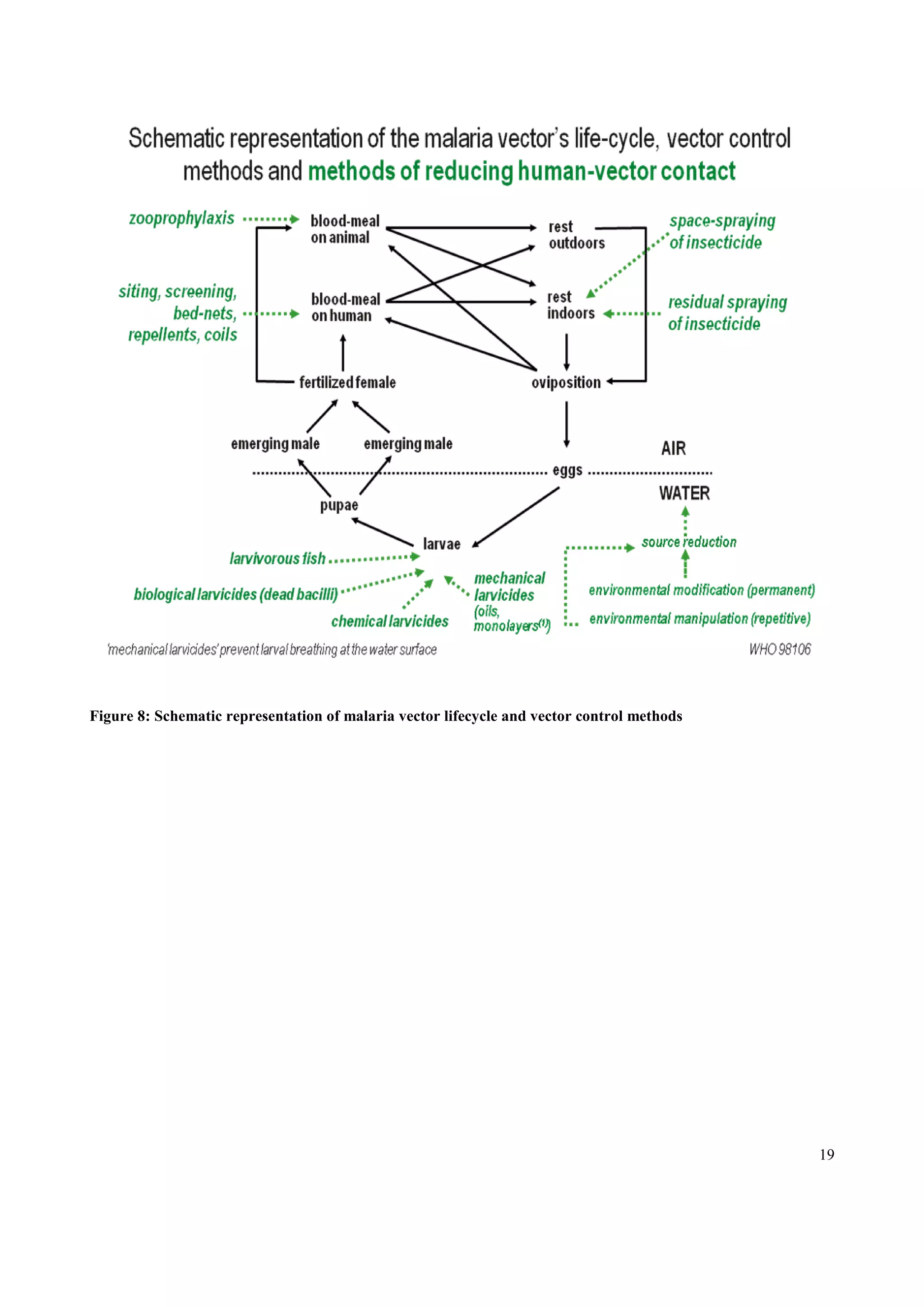 National Malaria Guideline 2022.pdf