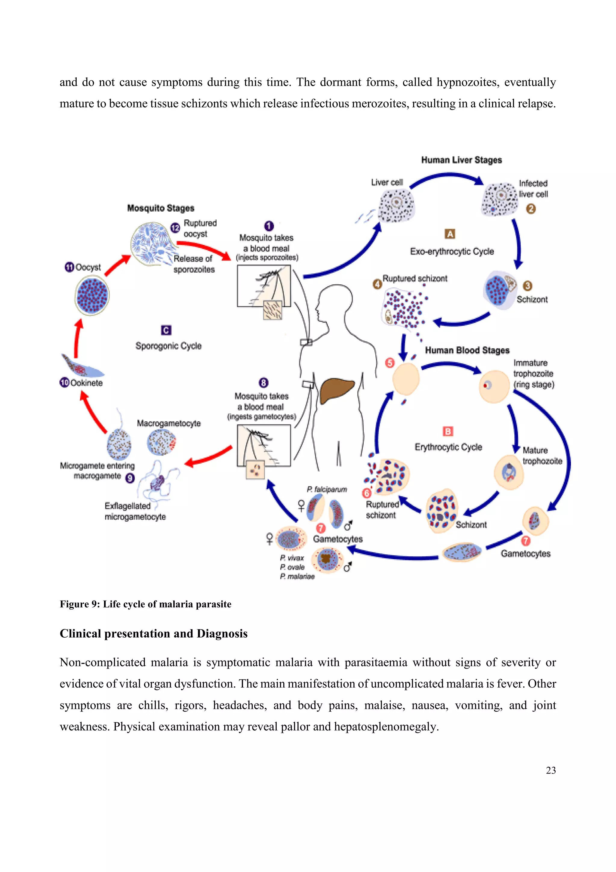 National Malaria Guideline 2022.pdf