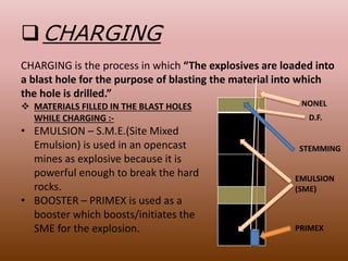 National mineral development corporation | PPTX