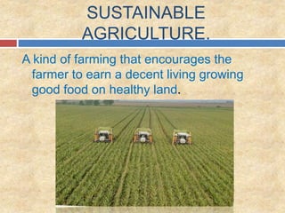 National mission for sustainable agriculture | PPTX