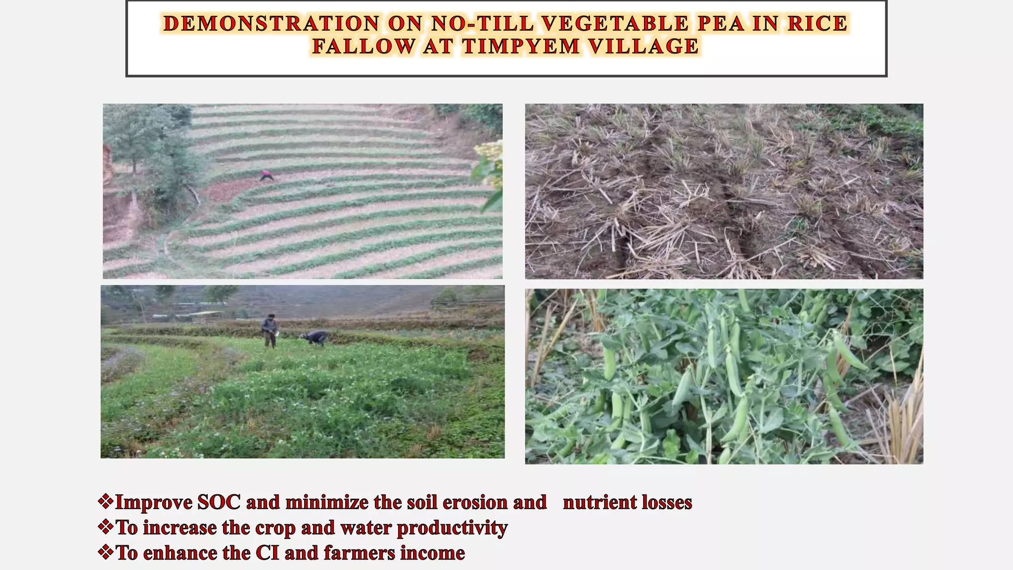 National mission for sustaining himalayan ecosystem (nmshe) ppt | PPTX