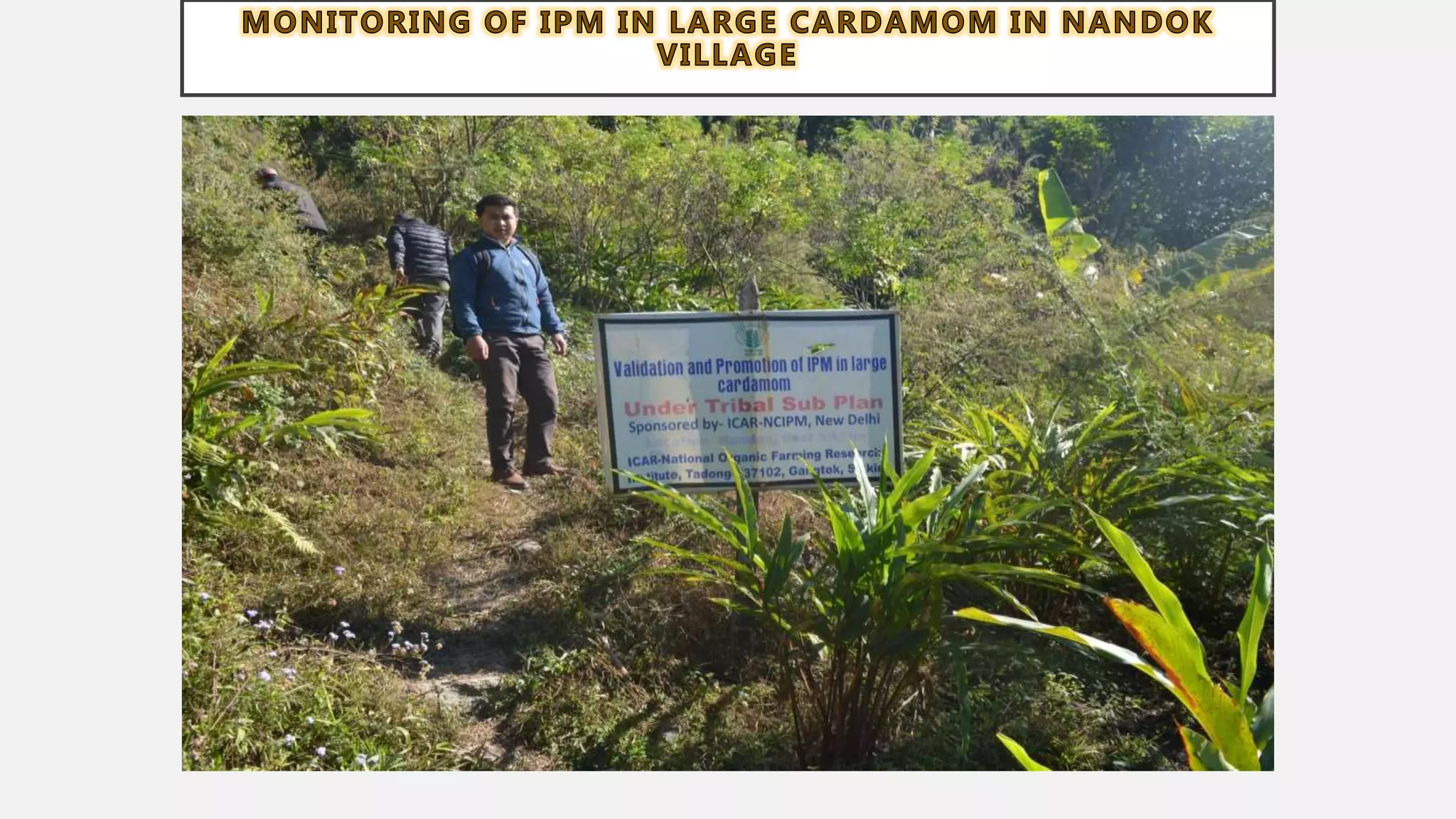 National mission for sustaining himalayan ecosystem (nmshe) ppt | PPTX