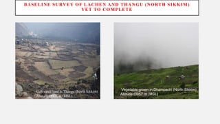 National mission for sustaining himalayan ecosystem (nmshe) ppt | PPT