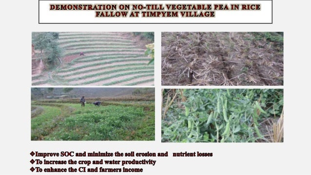 National mission for sustaining himalayan ecosystem (nmshe) ppt