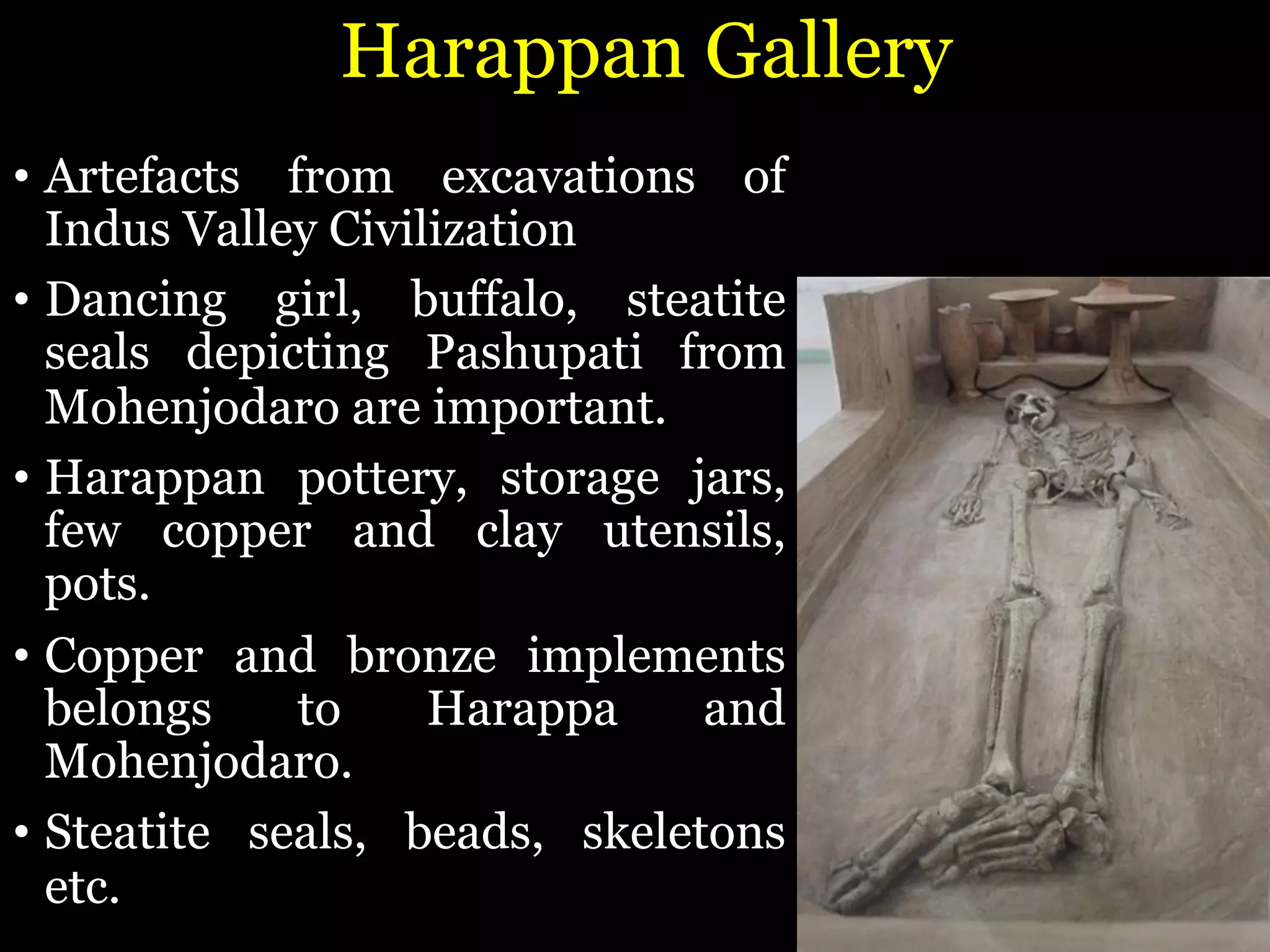 National Museum, Delhi | PDF