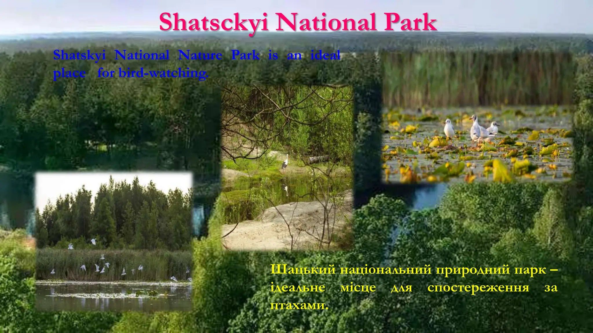 "National Nature Parks in Ukraine" .pptx
