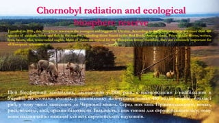 "National Nature Parks in Ukraine" .pptx