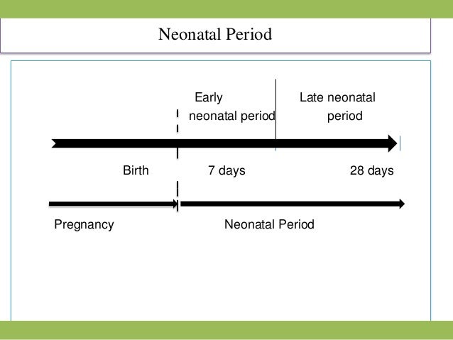 National neonatal strategy