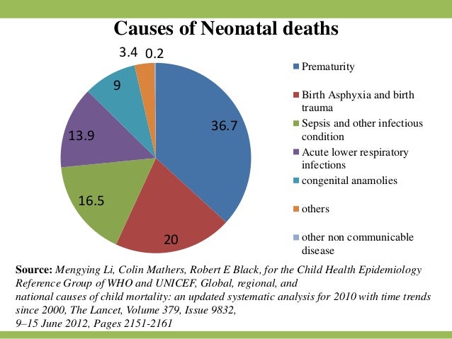 National neonatal strategy
